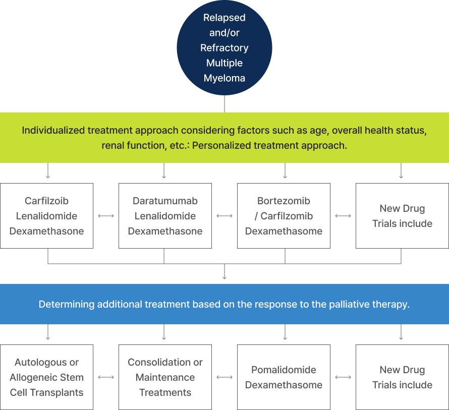 Multiple myeloma · Disease information | Myeloma Center | Disease ...