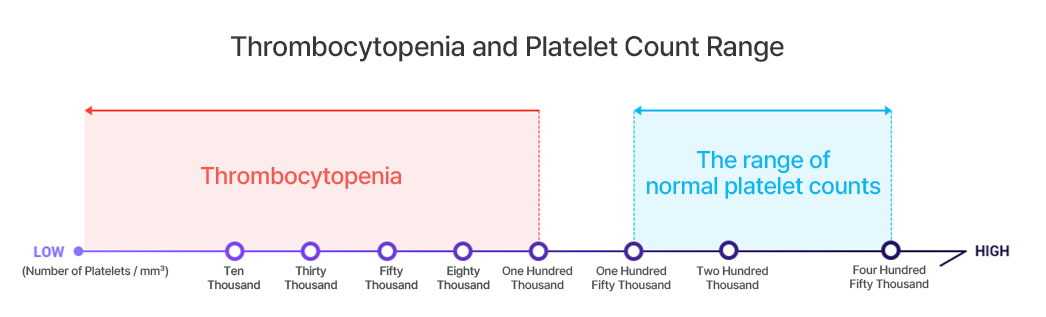 Immune thrombocytopenic purpura (ITP) · Disease information | Bone Marrow Failure Center ...