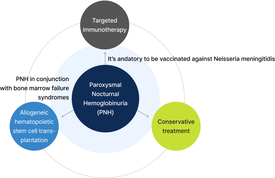 Paroxysmal nocturnal hemoglobinuria (PNH) · Disease information | Bone ...