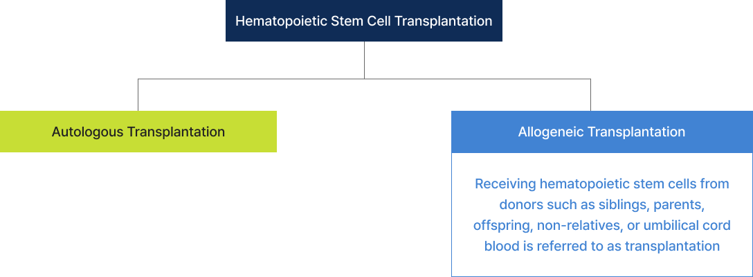 Hematopoietic Stem Cell Transplantation · Allogeneic Hematopoietic Stem ...