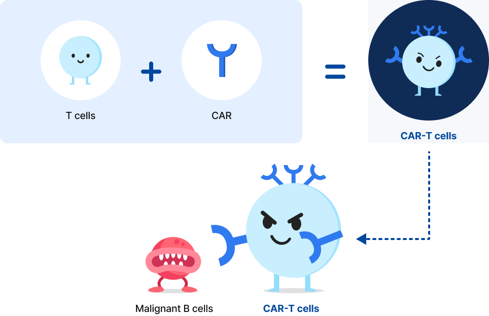 CAR-T Cell Therapy · CAR-T and Cell Therapy | Medical Information ...