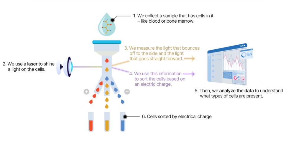 Flow Cytometry Test | Diagnostic Test Information | Medical Information ...